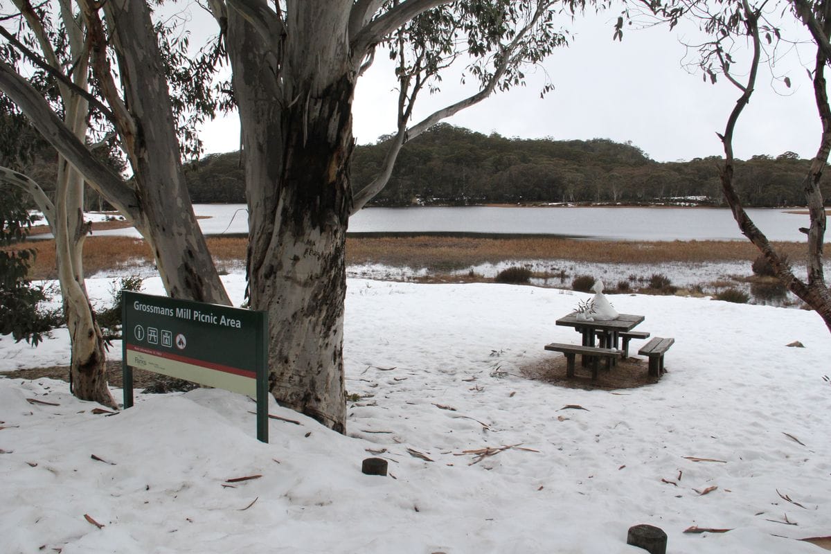 source vicscreen source vicscreen source vicscreen source vicscreen ...