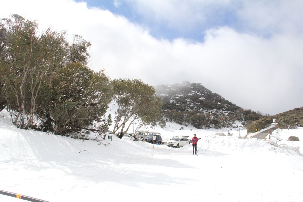 source vicscreen source vicscreen source vicscreen source vicscreen