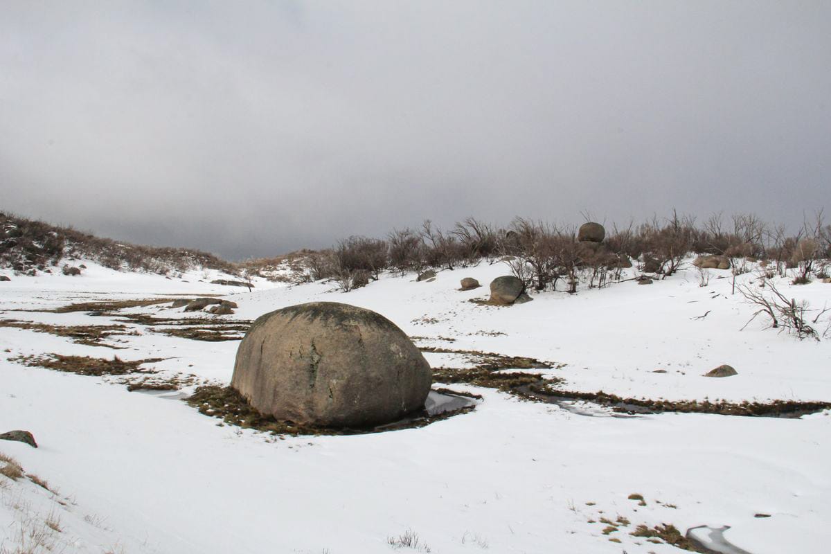 source vicscreen source vicscreen source vicscreen