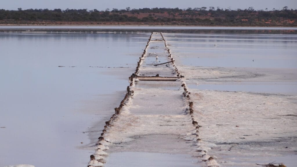 Source: Brigitte & Heinz