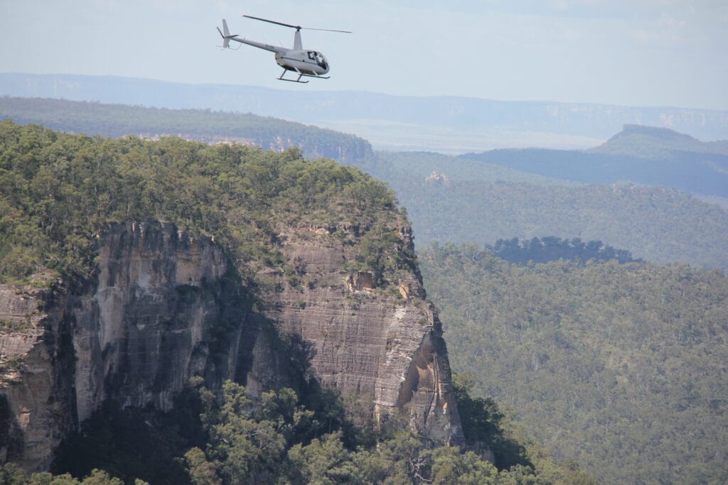 Source: Roderick Eime