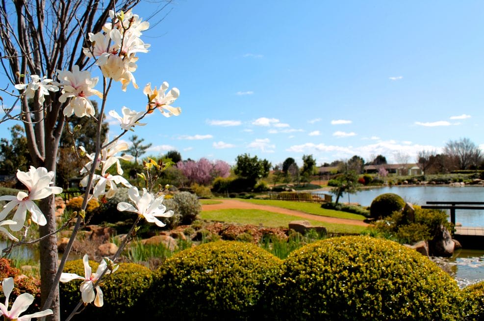 source destination nsw source destination nsw