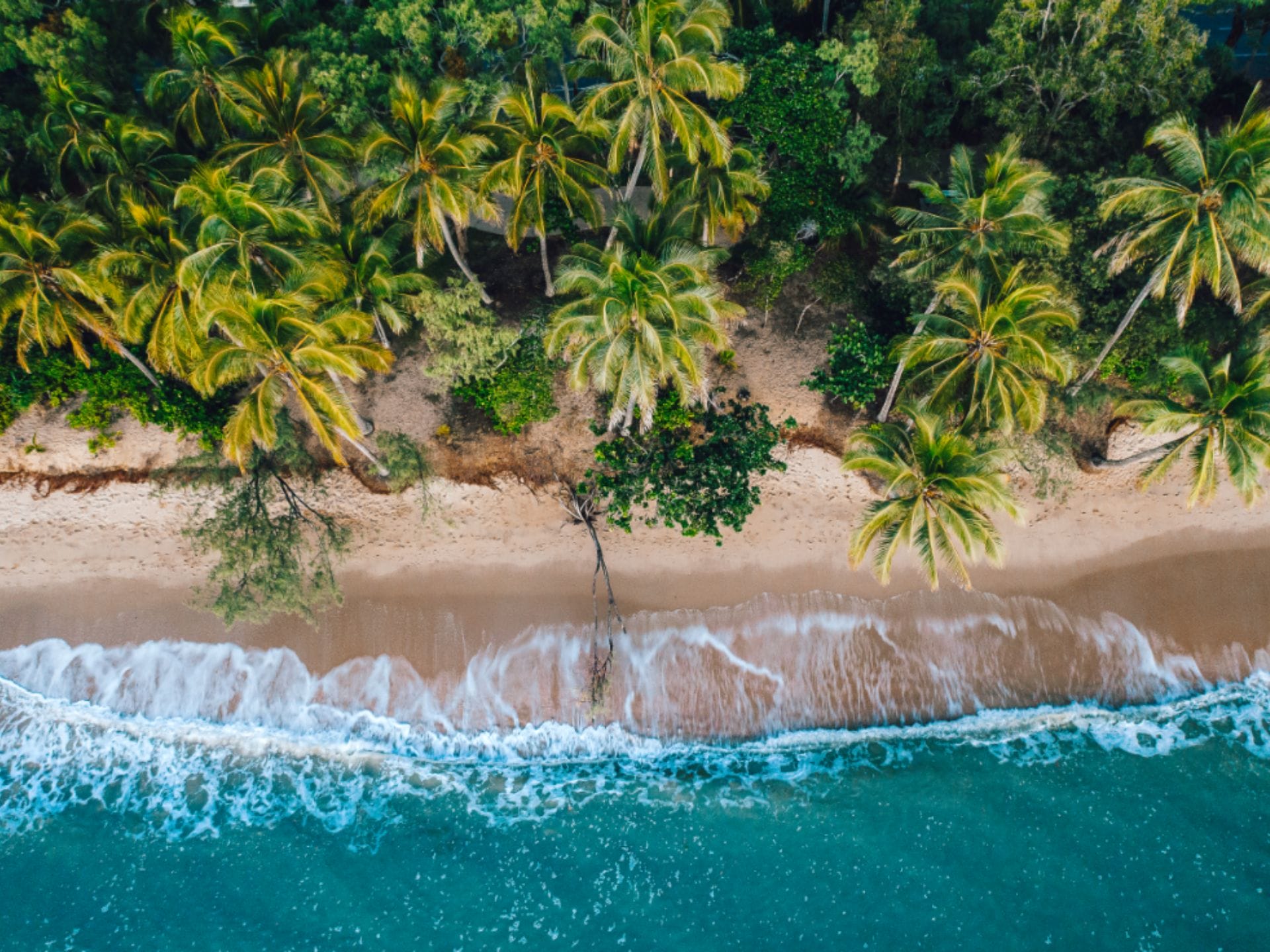 Source: Tourism and Events Queensland