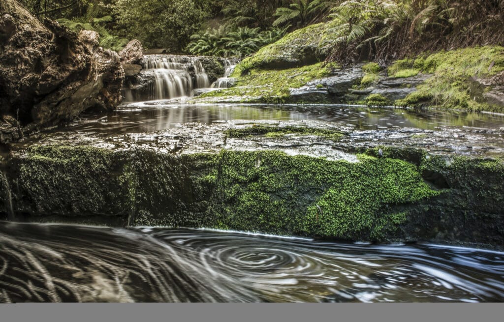 source jess bonde source jess bonde