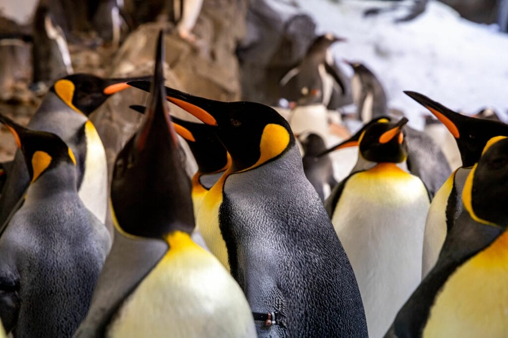 Source: Tourism Australia/Visit Victoria