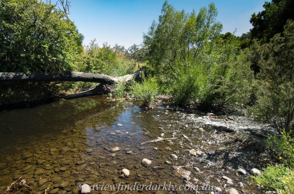 Source: Trevor McKinnon