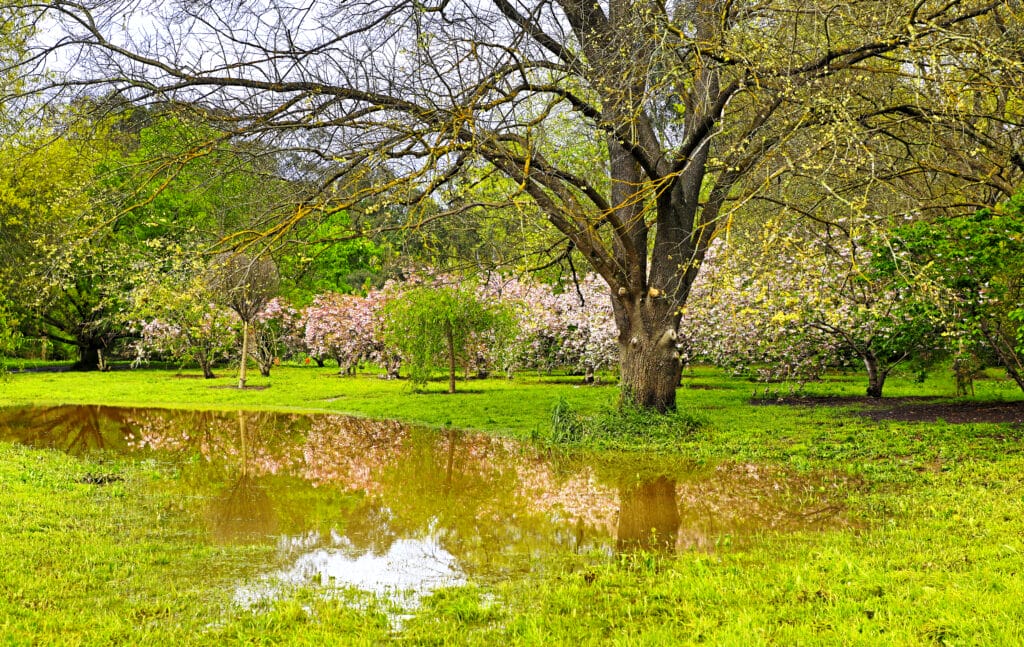 Source: Clement Tang