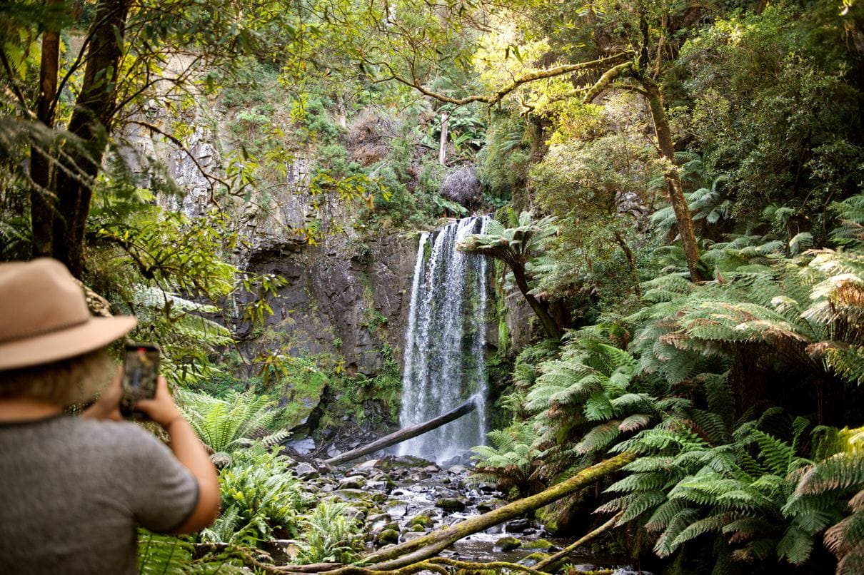 18 best waterfalls near melbourne for nature lovers escape the city s ...
