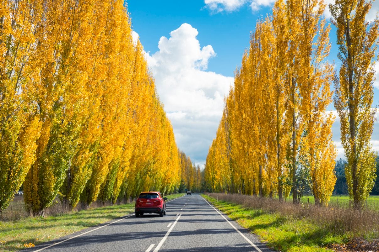 Source: Visit Victoria