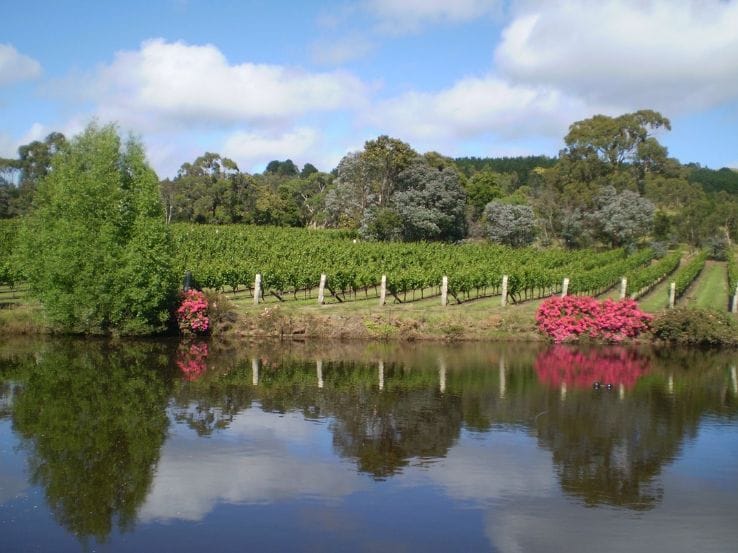 Source: Gisborne Peak Winery