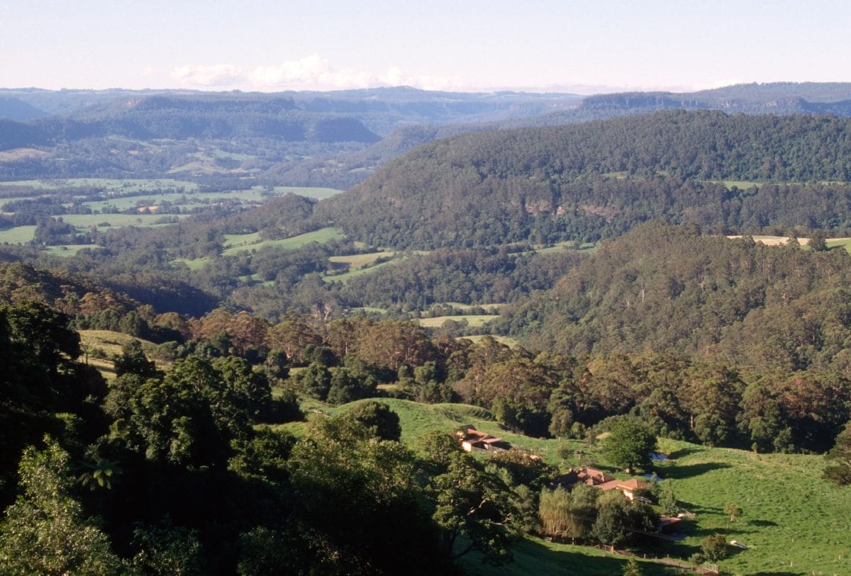 source peter source dave parratt