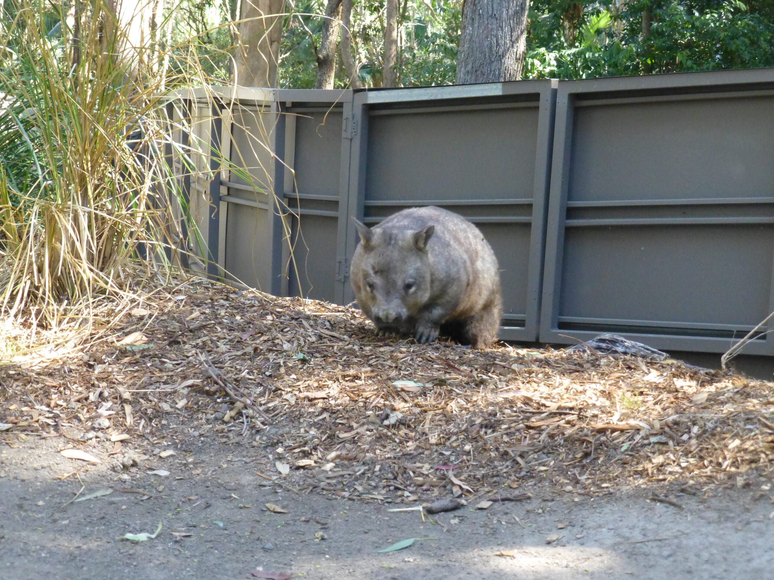 Source: Keren Stiles