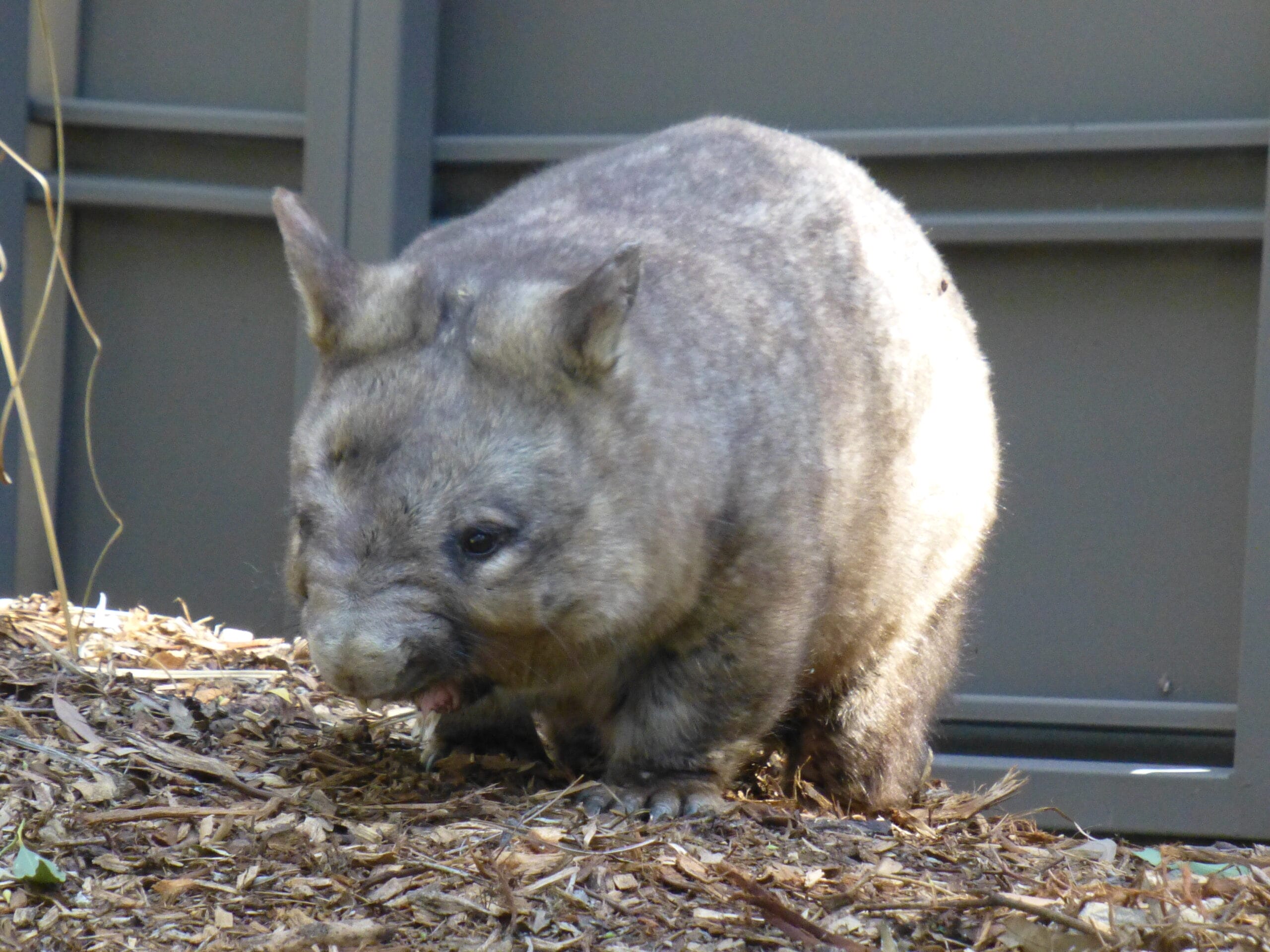 Source: Keren Stiles