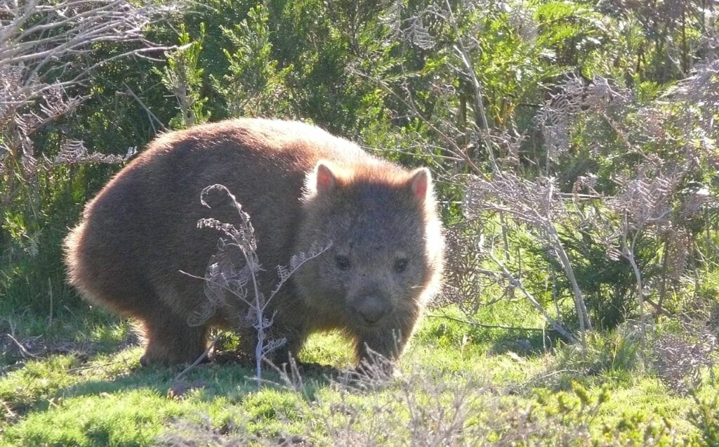 Source: Margaret Lyons