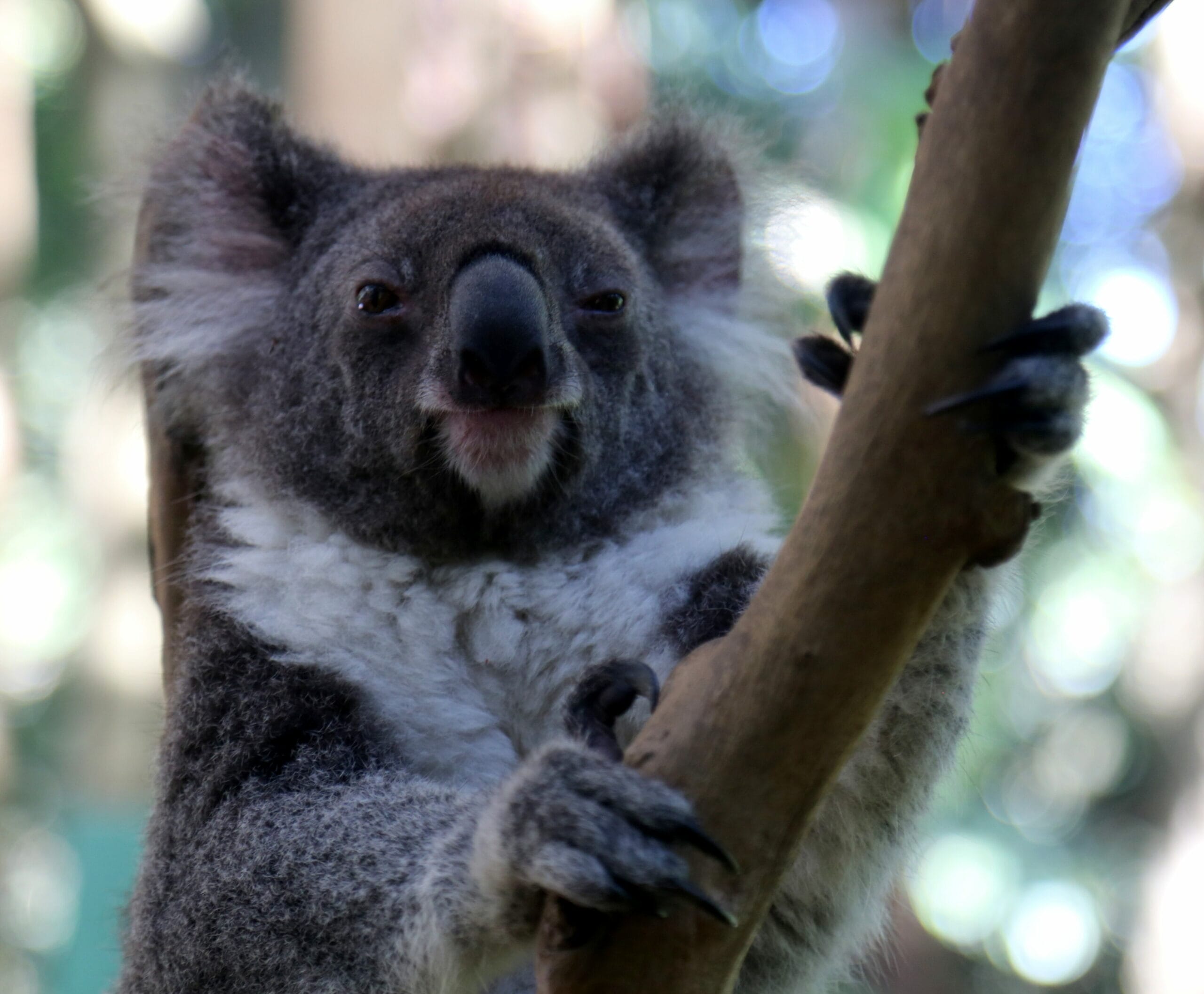 source apardavila source apardavila