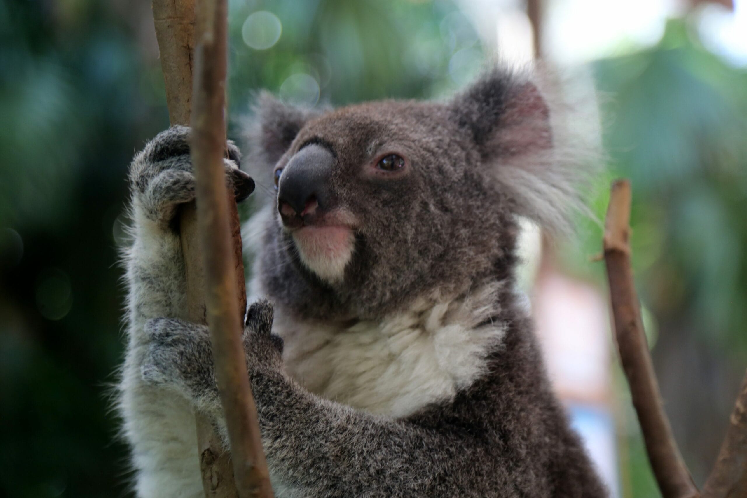 source apardavila source apardavila