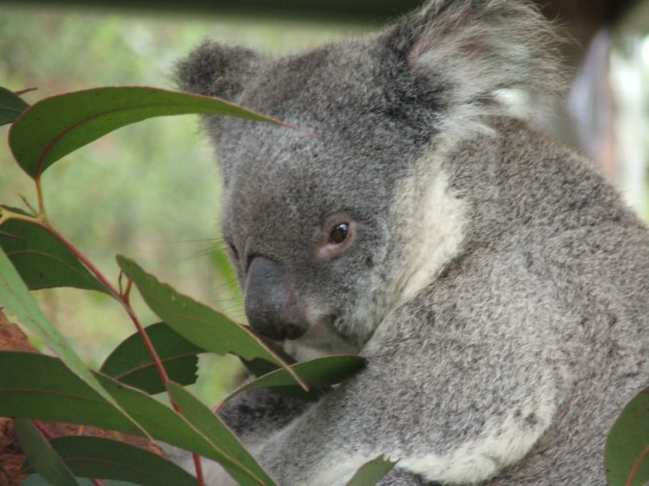 Travel Guide Hiking/Walking Road Trips Waterfalls Alpine