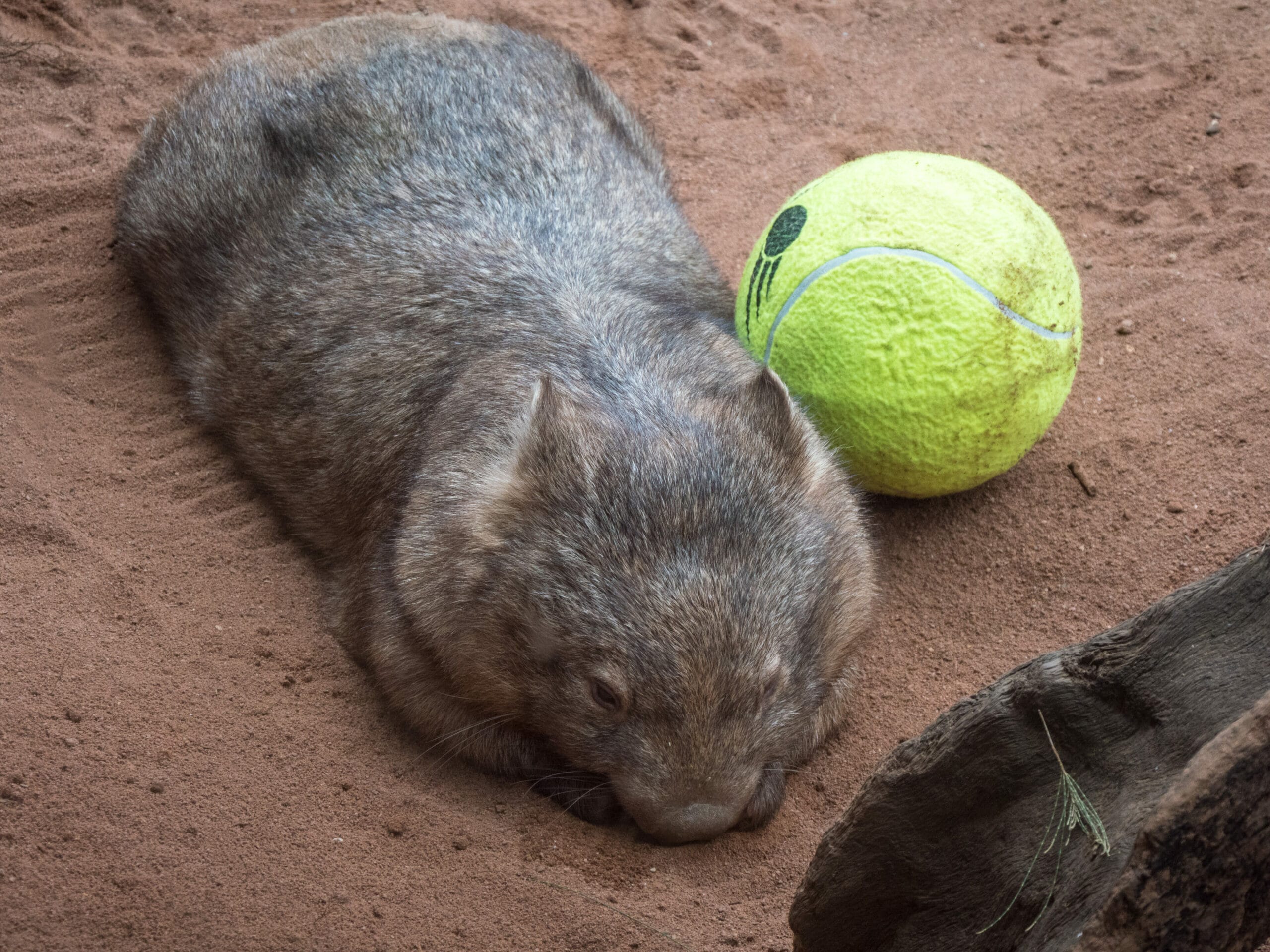 Source: Ginny Winblad