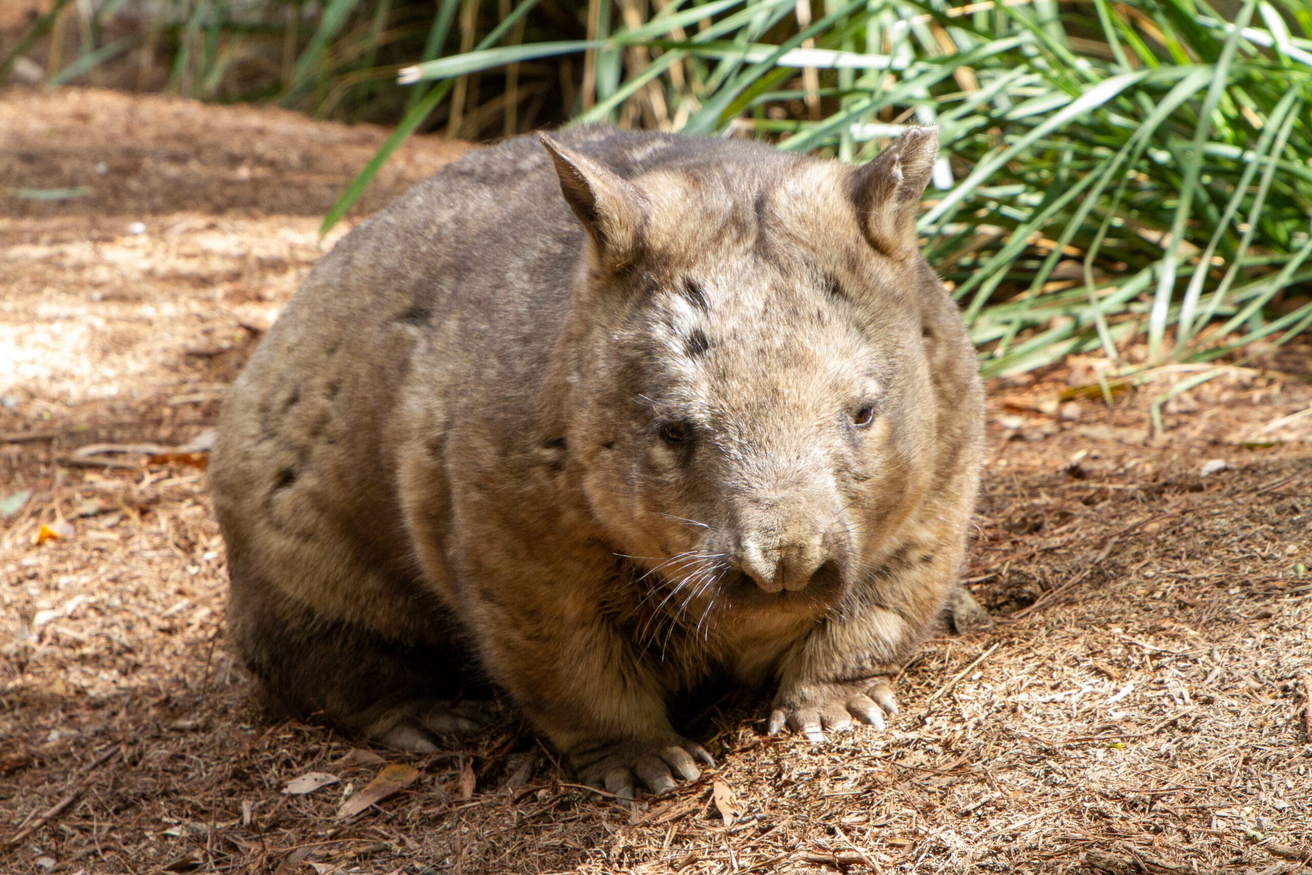 source margaret lyons source kjd2007