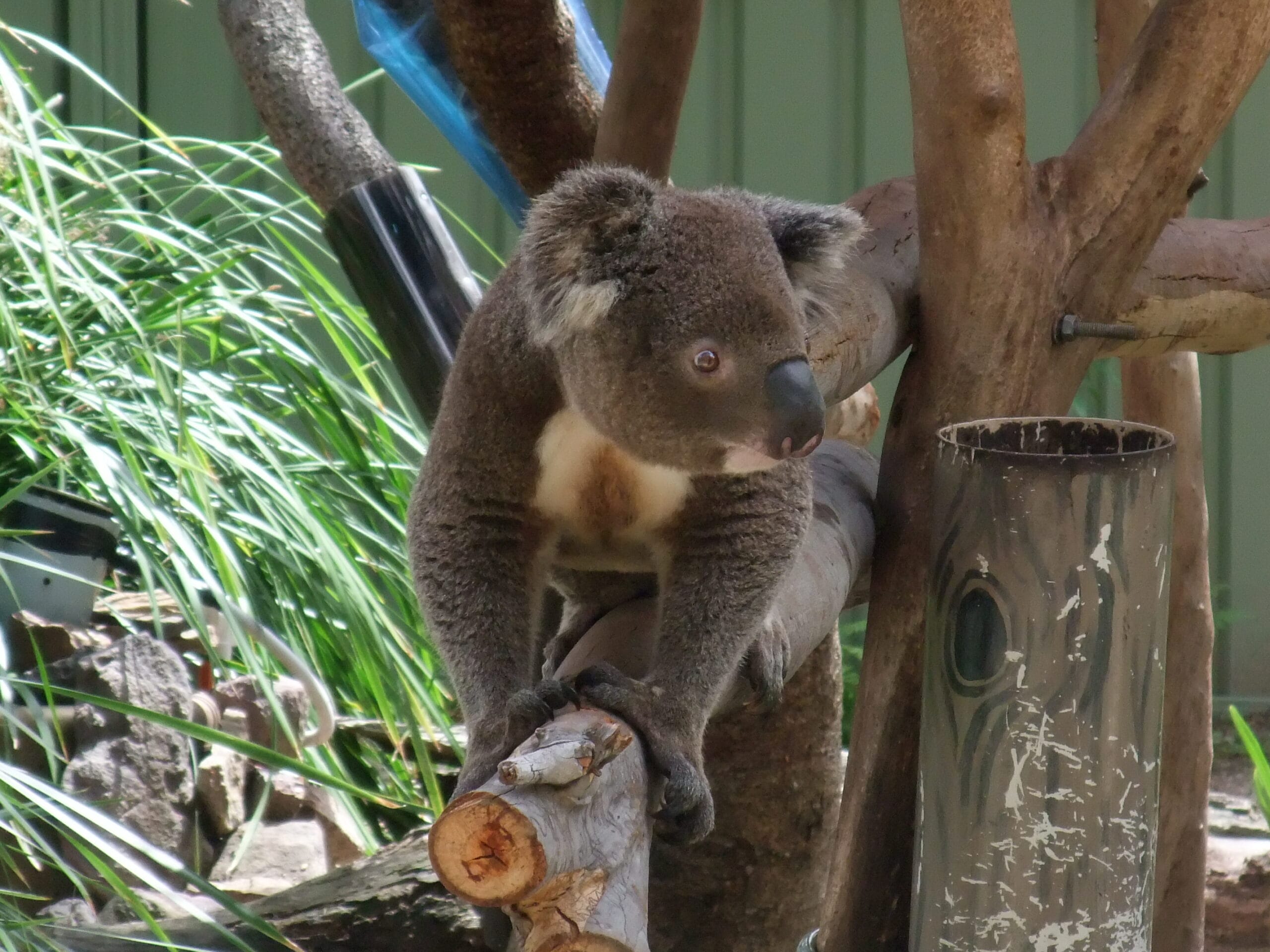 Travel Guide Hiking/Walking Road Trips Waterfalls Alpine