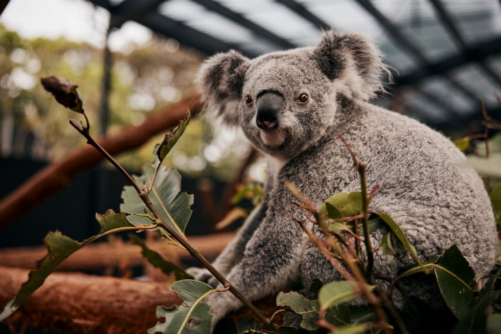 source destination nsw source destination nsw