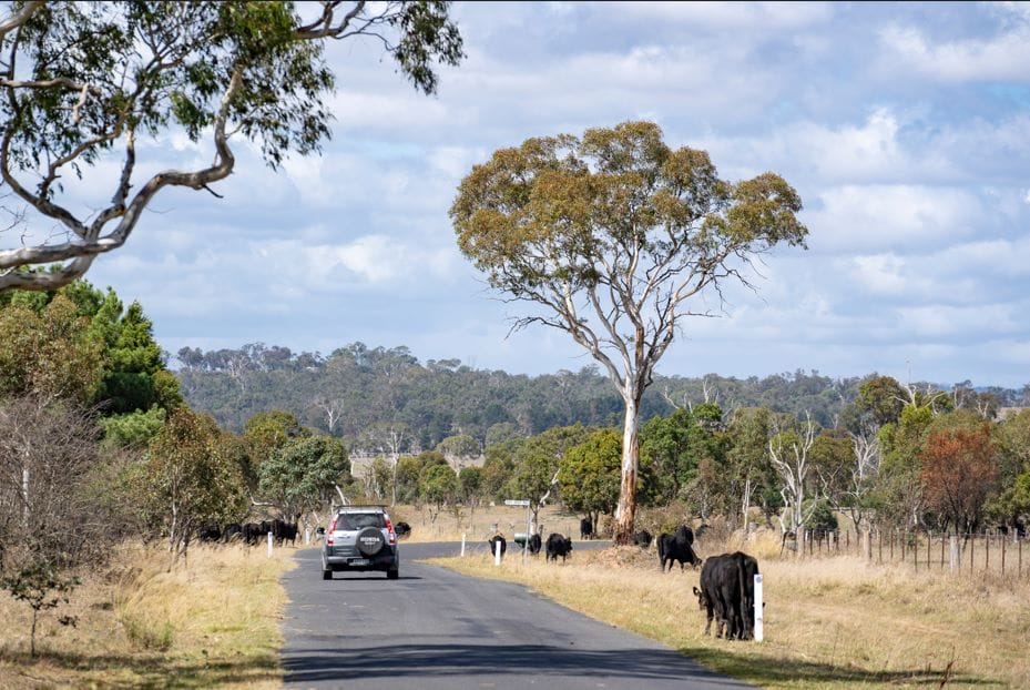 Source: Destination NSW