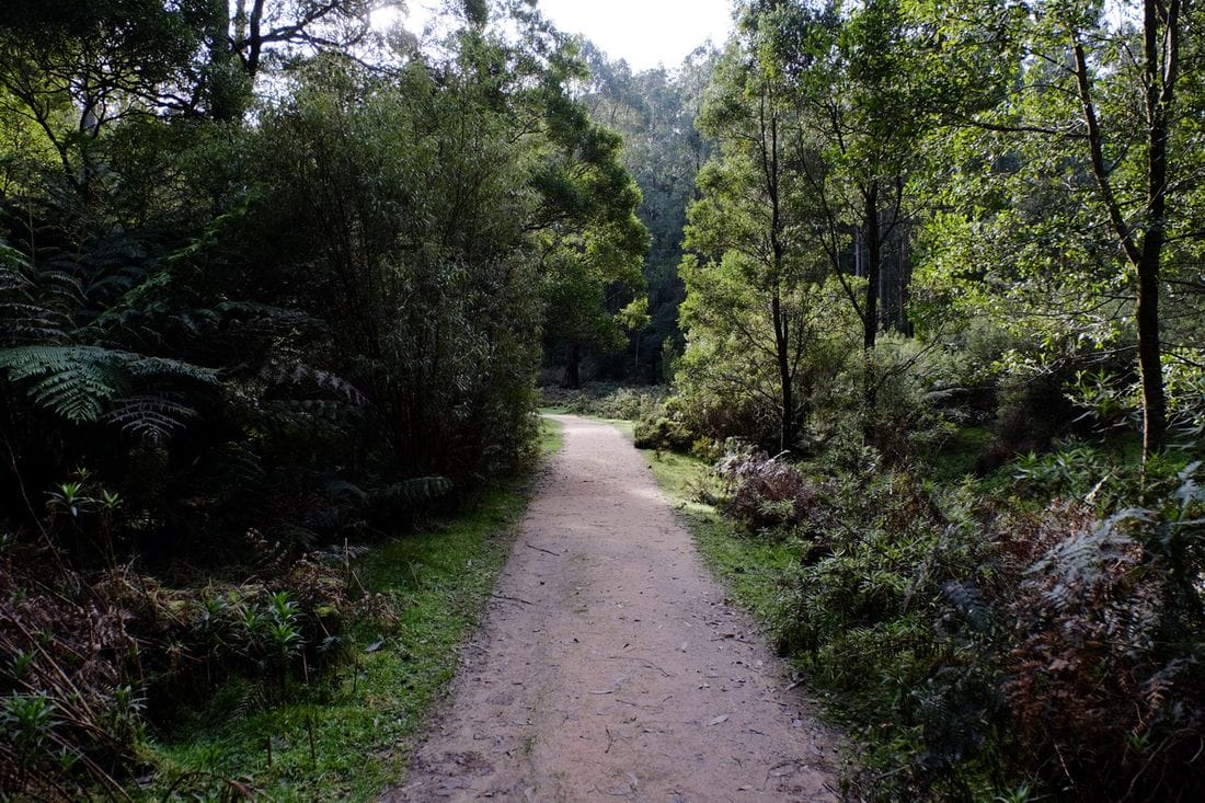 source vicscreen source vicscreen source vicscreen