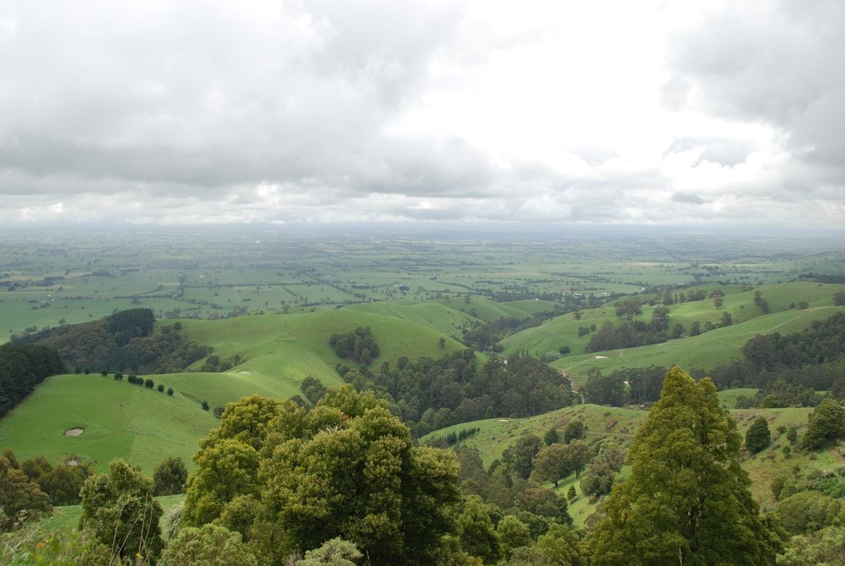 source vicscreen source vicscreen